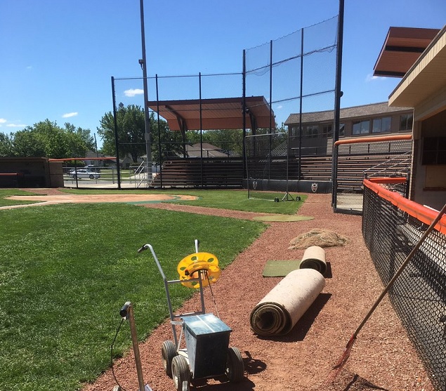 NFHS Expands Designated Hitter Role For High School Baseball ...