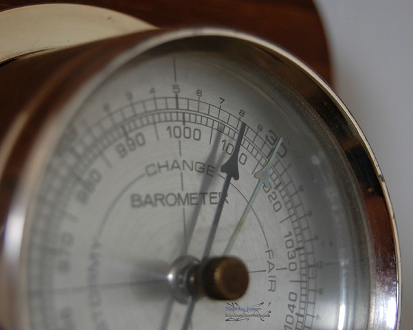 High School Athletic Conference Barometer – Stateline Sports Network