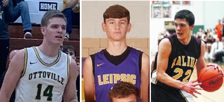 All-Putnam County League Boys Basketball Team Named, Ottoville’s ...