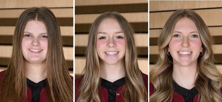 2023 All-Summit Athletic Conference Softball Team Named – Stateline ...