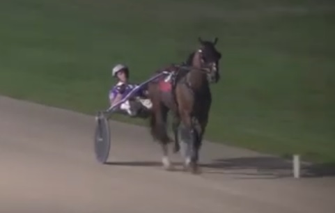‘Charlie May’ Wins Record Breaking Gene Reigle Memorial At The Darke ...