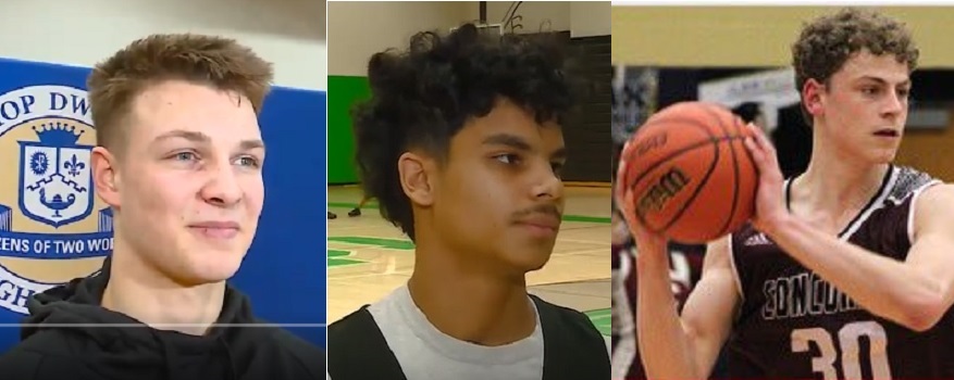 2023-24 All-Summit Athletic Conference Boys Basketball Team Named ...