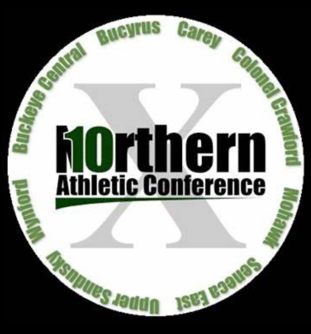 Northern 10 Athletic Conference Names New Commissioner – Stateline ...